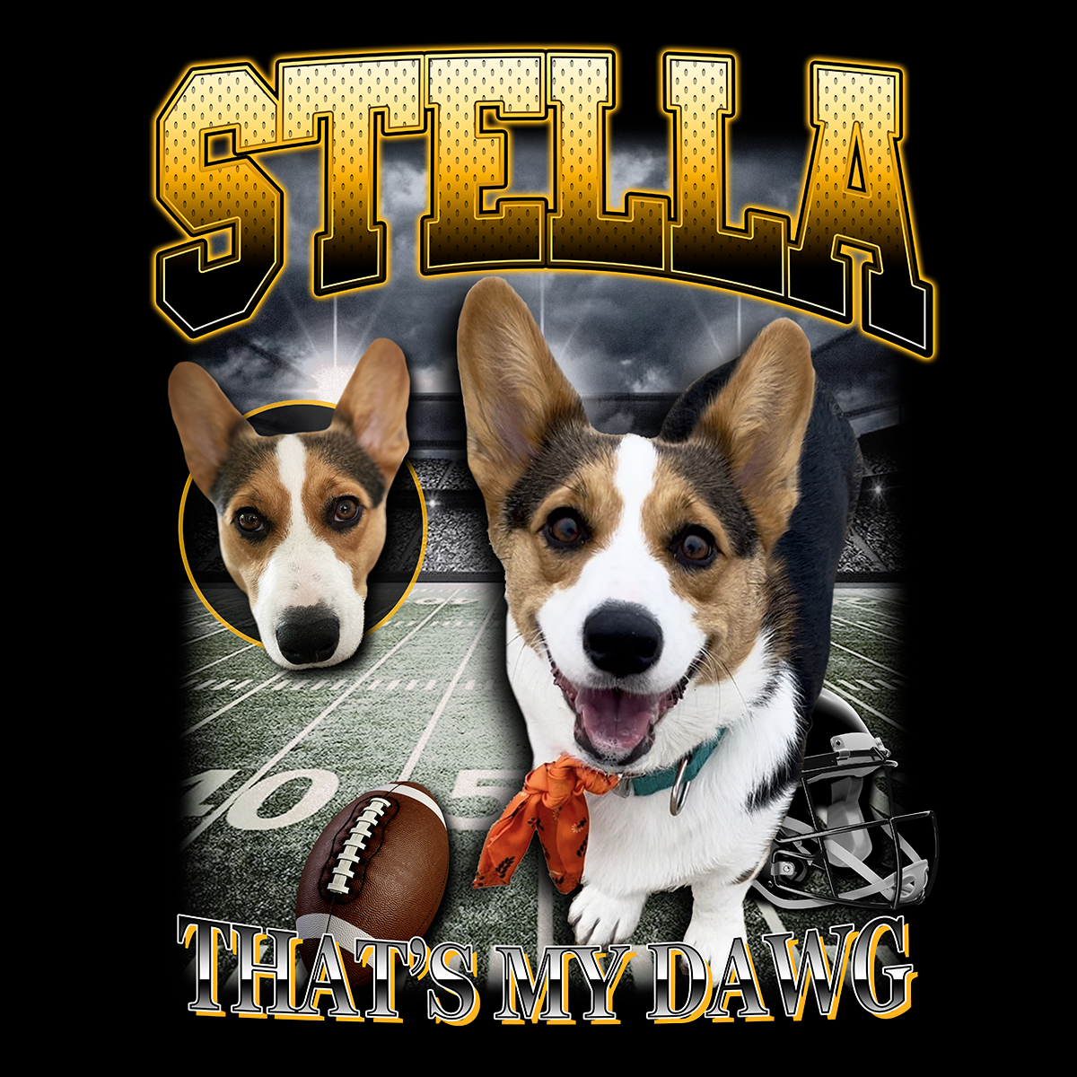 NFL – That's My Dawg Brand